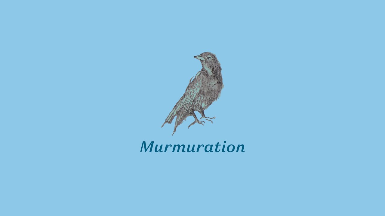 Murmuration: a collective film poem - New Writing North